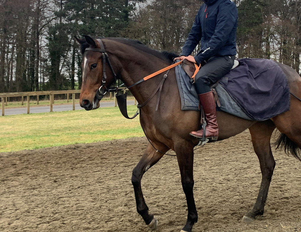 Nick Bradley Racing - Marco Botti Racing