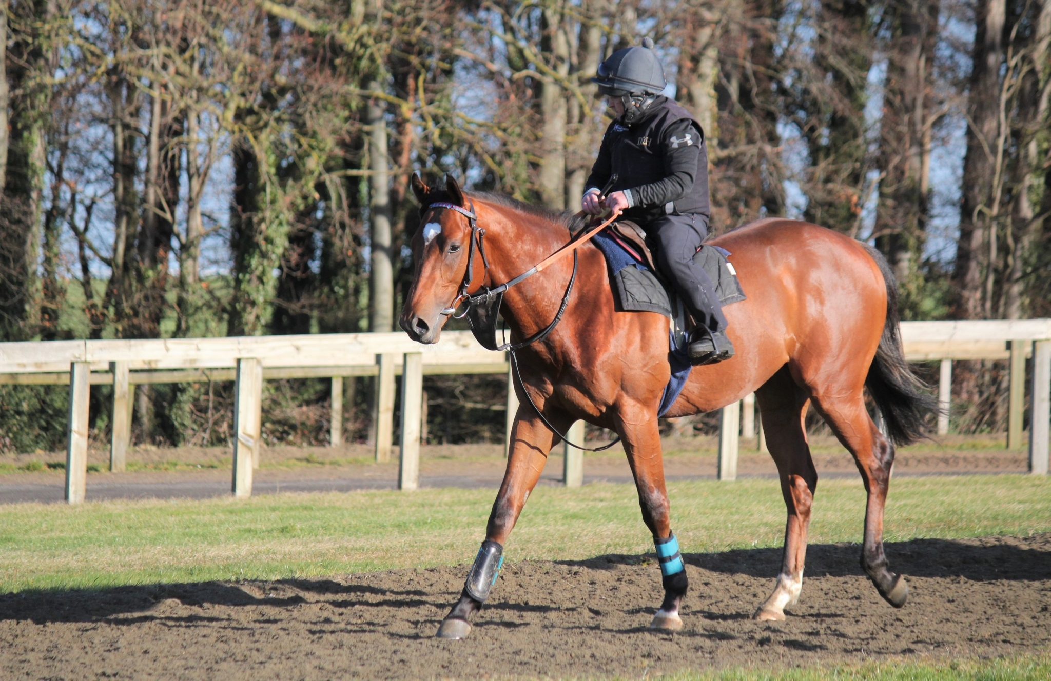 Middleham Park Racing - Marco Botti Racing